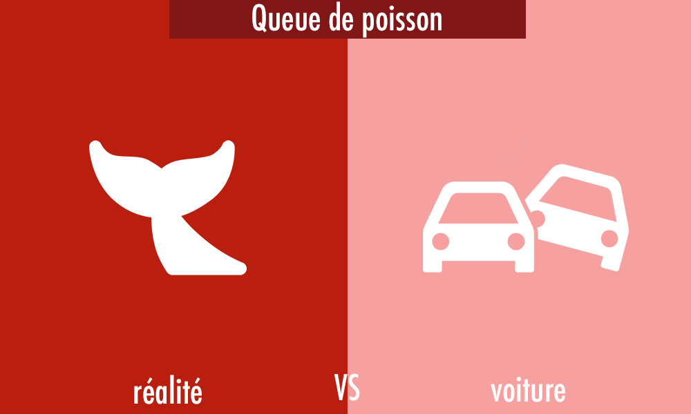 Les expressions automobiles Infographie - TravelerCar